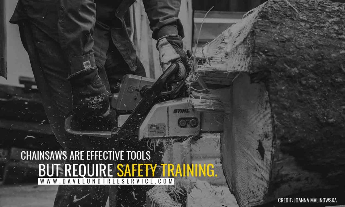 The Facts About Arborist Safety Training - Dave Lund Tree Service and ...
